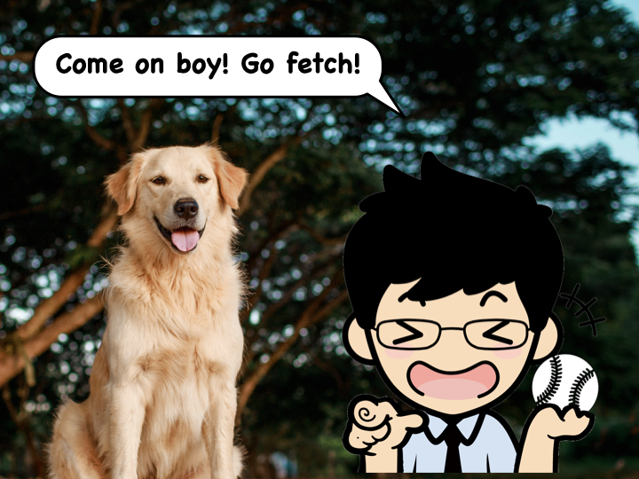 get、fetch、bringの上手な使い分け方45選 | Winner's English - 勝負する英語